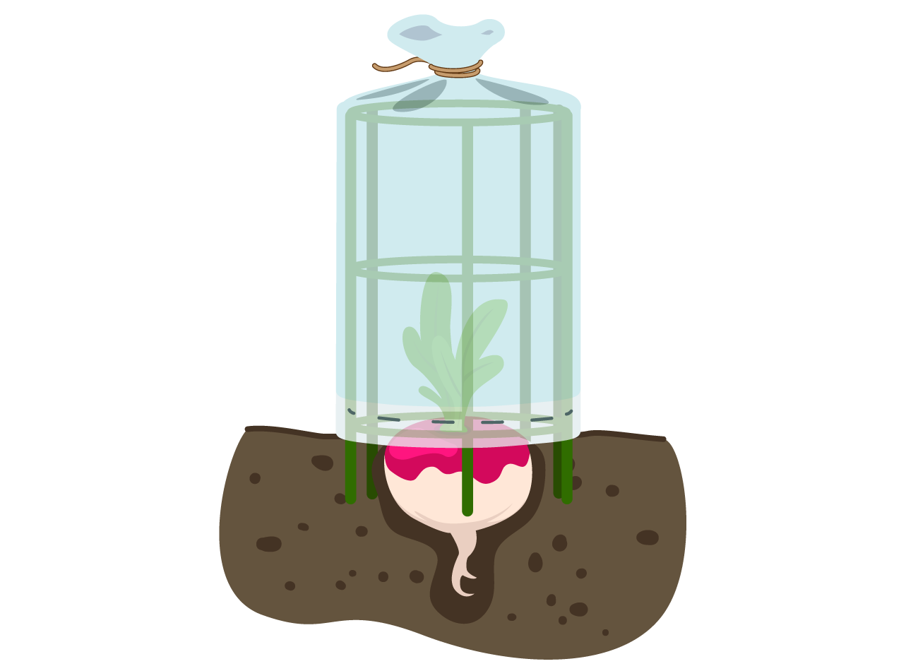 DIY-Structures de protection - Potagernération